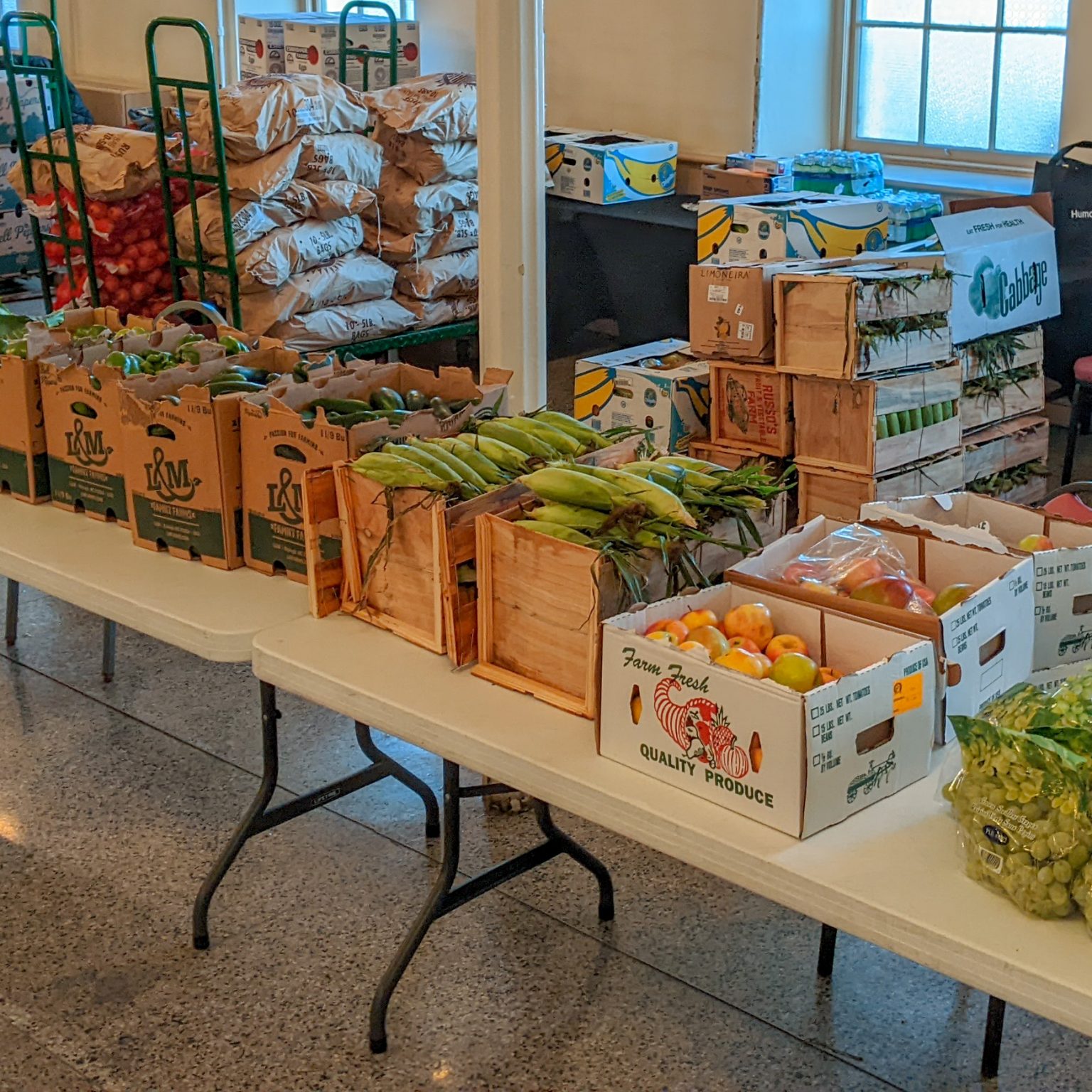 Programs – Saint Patrick's Center